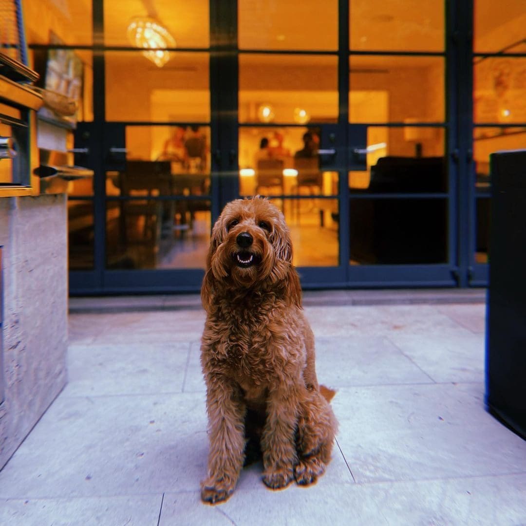 Inside Michael Strahan’s House: A $15 Million Manhattan Apartment