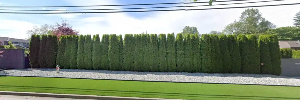 Michael Bublé's House: The Ultimate Blend of Comfort and Elegance