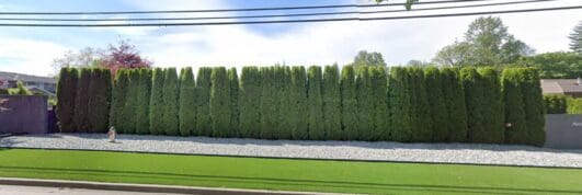 Michael Bublé's House: The Ultimate Blend of Comfort and Elegance