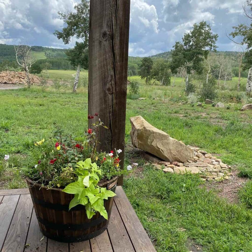Inside Hilary Swank's Enchanting Colorado Mountain House