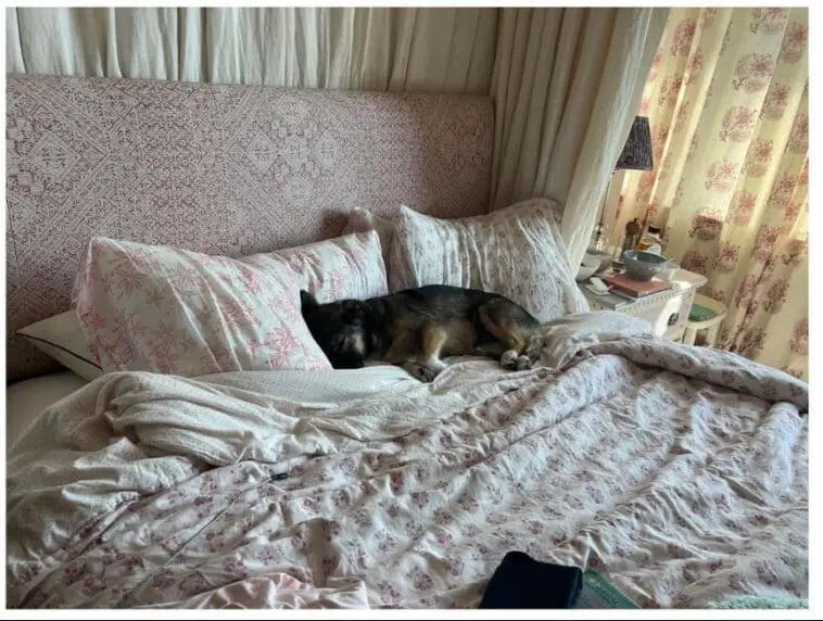 A Quick Look At Emma Watson's House In London