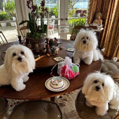 A Journey Through Barbra Streisand’s $100 Million Malibu House