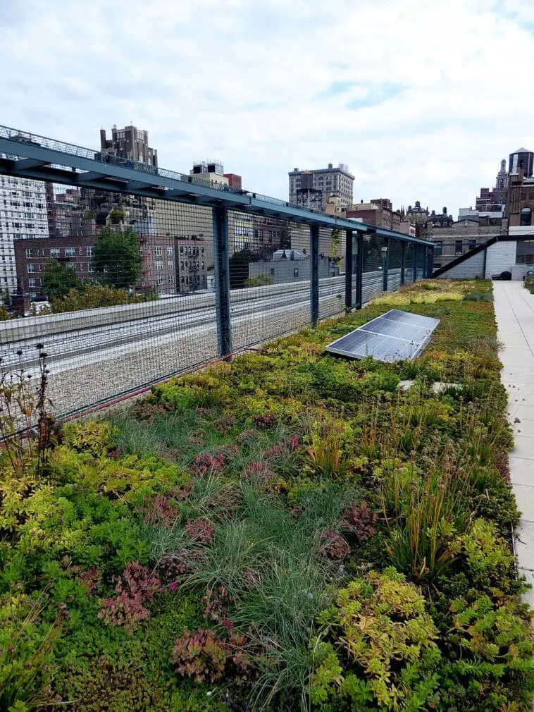 Creative Roof Designs for Commercial and Residential Buildings