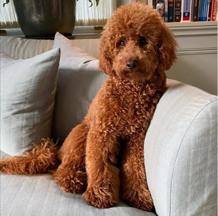 Matthew Macfadyen's House: The Life of the 'Succession' Actor