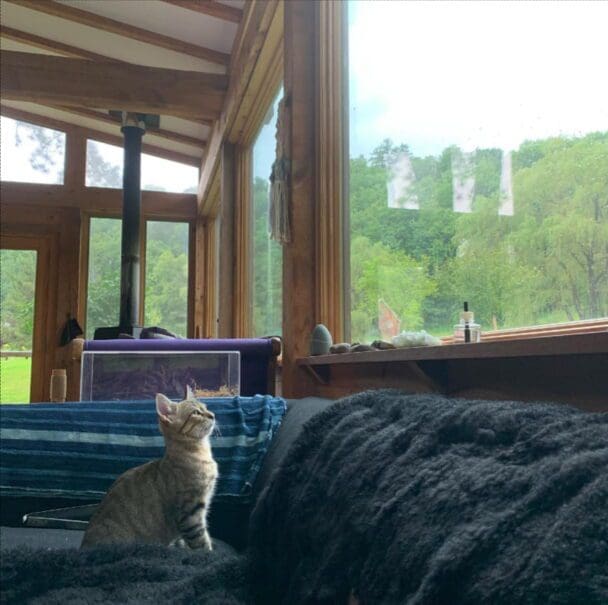 Mark Ruffalo's House Tour: From Hollywood Hills to Callicoon