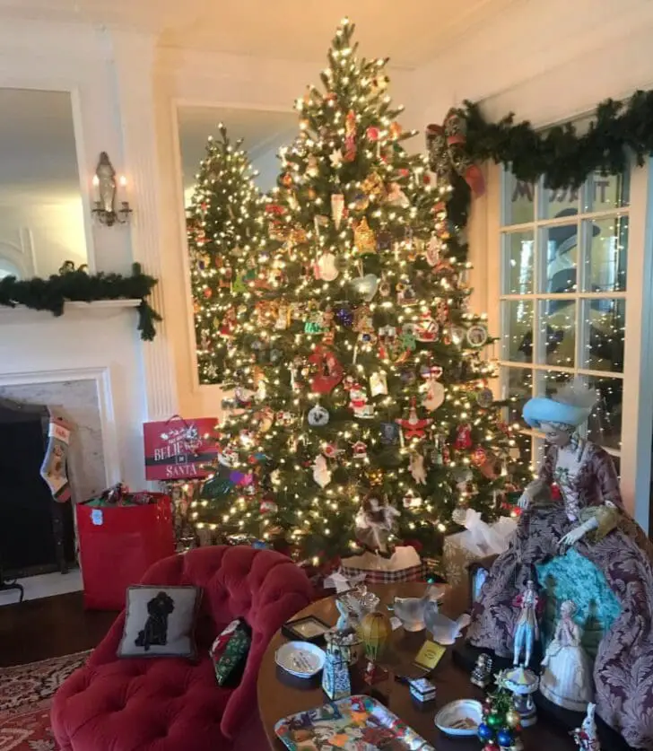 Celestial Living: Andy Garcia's Toluca Lake House Unveiled