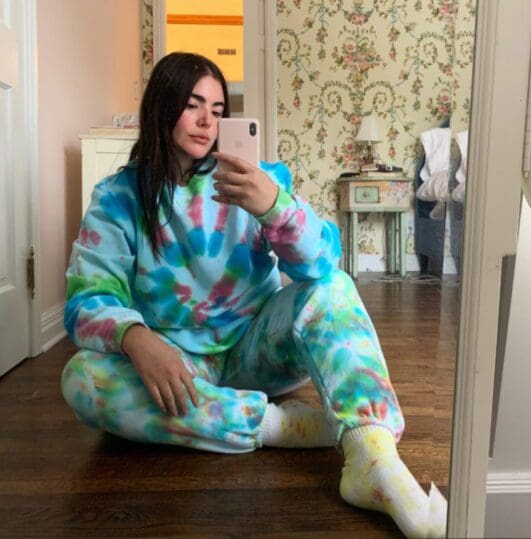 Celestial Living: Andy Garcia's Toluca Lake House Unveiled