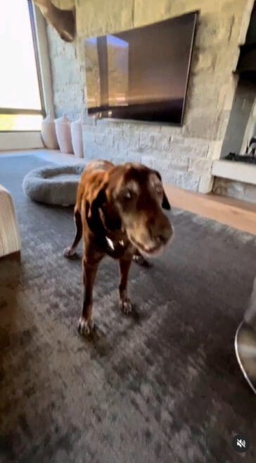 Stone Cold Living: A Closer Look at Steve Austin's Nevada House