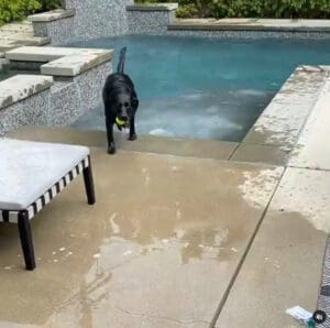 Stone Cold Living: A Closer Look at Steve Austin's Nevada House