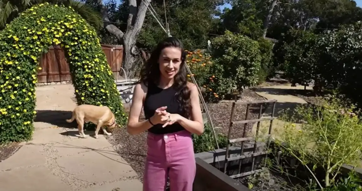 Colleen Ballinger's House in Santa Barbara: Where Comfort Meets Elegance